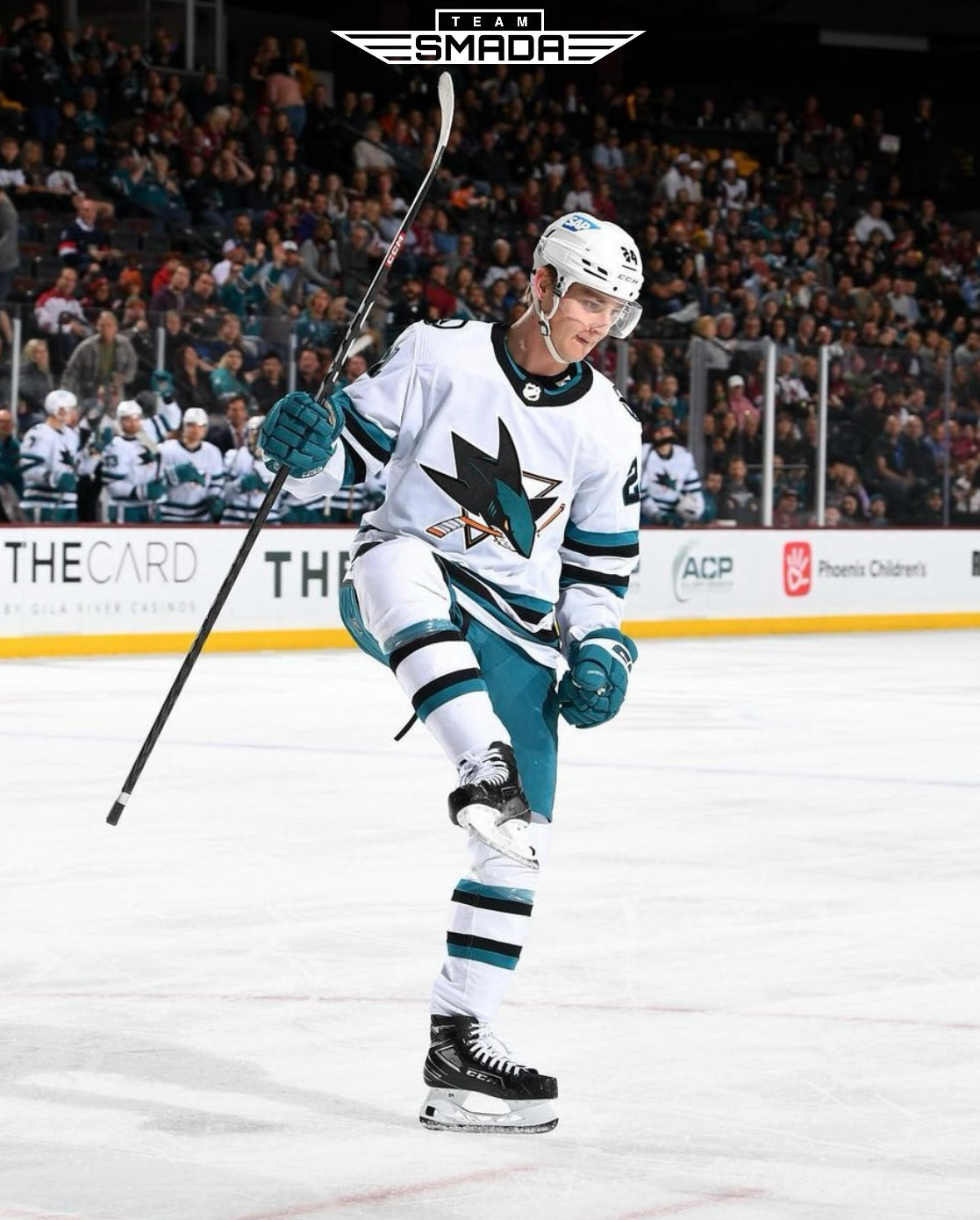 Powered By Innovation | Goal Pegs, Flex Pegs & Post Guards hockey ...